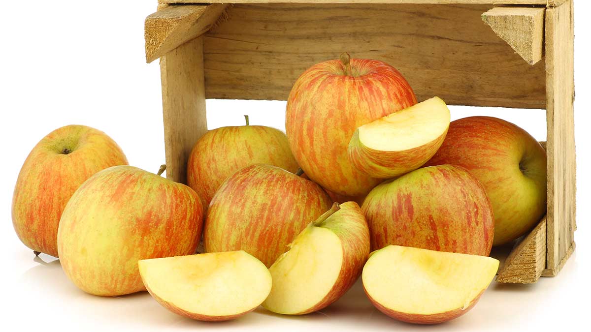 En saison: Les pommes - Le Panier alimentaire canadien