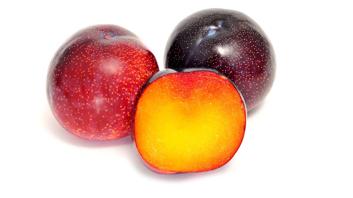 En saison: Les prunes - Le Panier alimentaire canadien